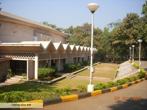 Associate Dean at IRCC